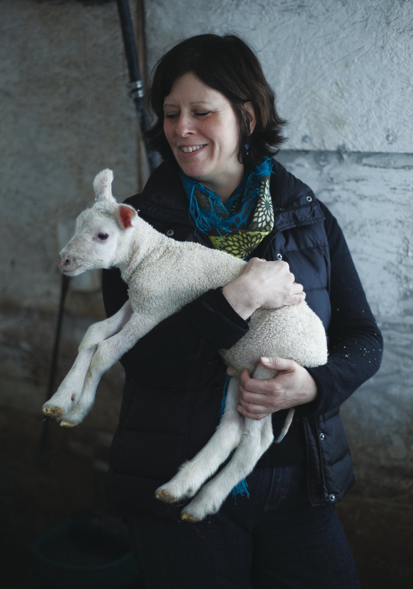 Marché Jean-Talon [PAPIER] – Éditions Cardinal