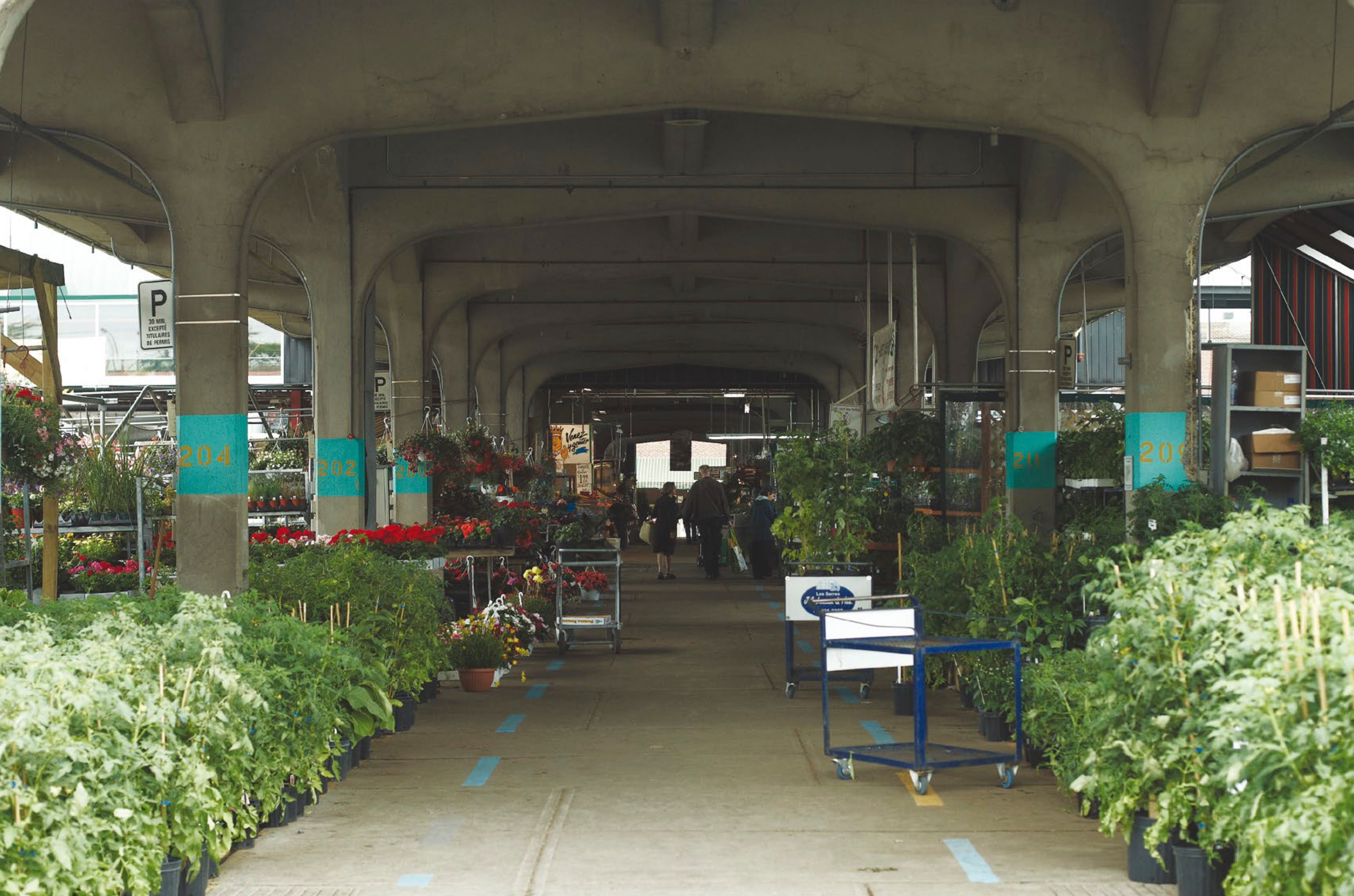 Marché Jean-Talon — Recettes & Portraits [LIVRE PAPIER] – Éditions Cardinal